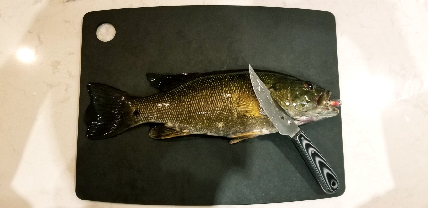 Blades and Bass (fish) | BladeForums.com